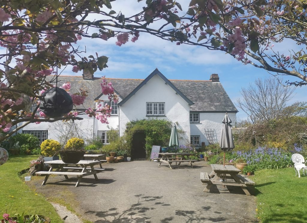 Rectory Farm Tea Rooms - Bude - Travel Lowdown